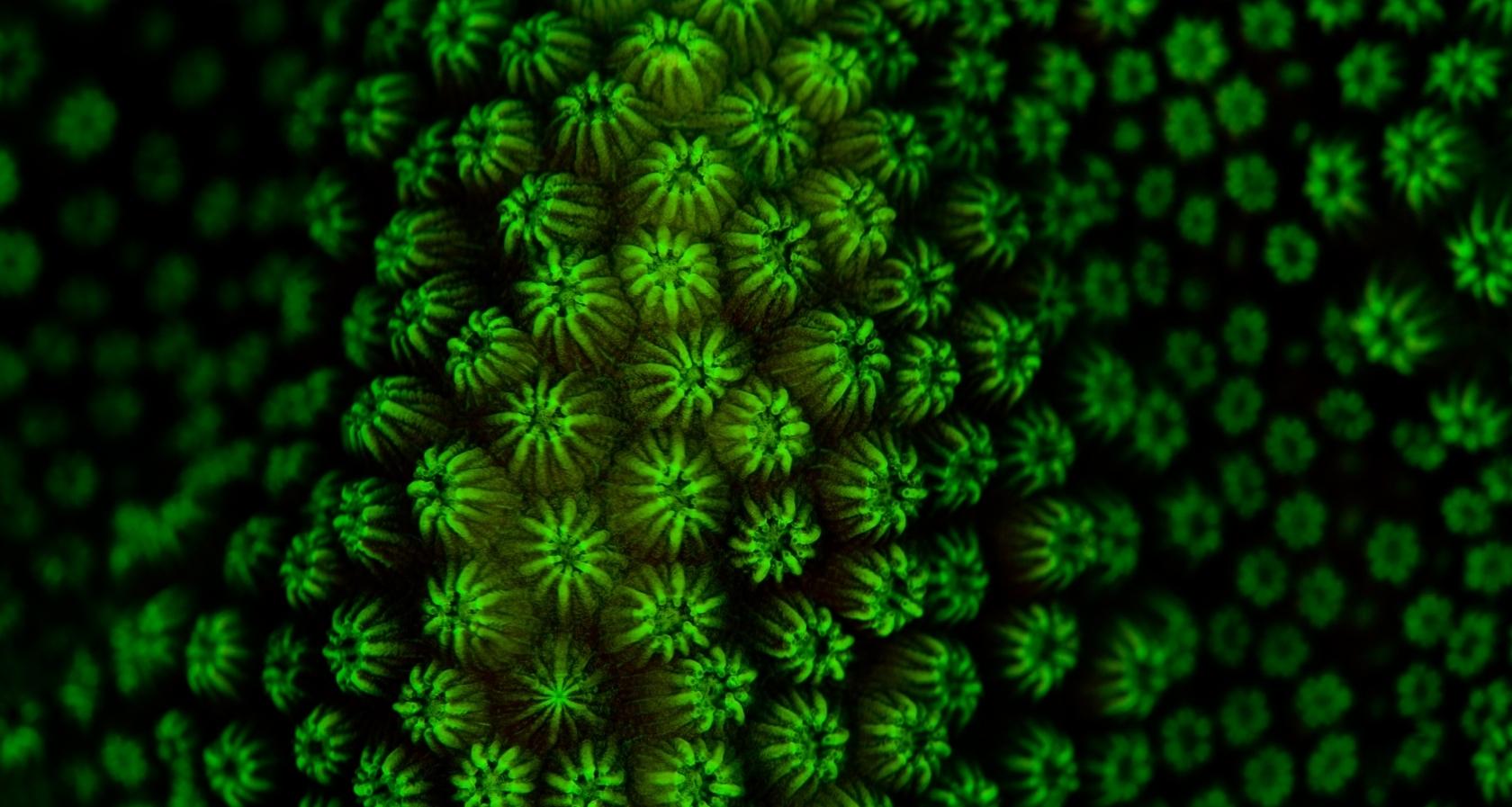 Optical brighteners of the OWI®Bright series - Wilhelmi Color